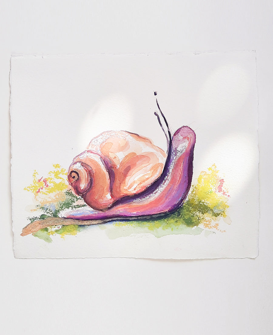 The Curious Snail // Original Painting – Raewyn Pope Studio